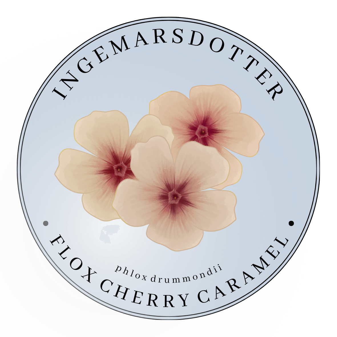 Flox Cherry caramel (storpack) – Ingemarsdotter